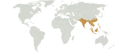 GEN101:Geography and climate of India - Biodiversity of India: A Wiki ...