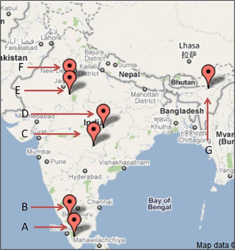 Education:Tigers Quiz - Biodiversity of India: A Wiki Resource for ...